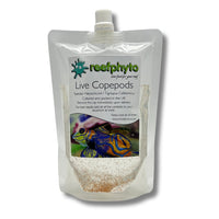 Reefphyto Ltd - Live Foods for your tropical marine aquarium